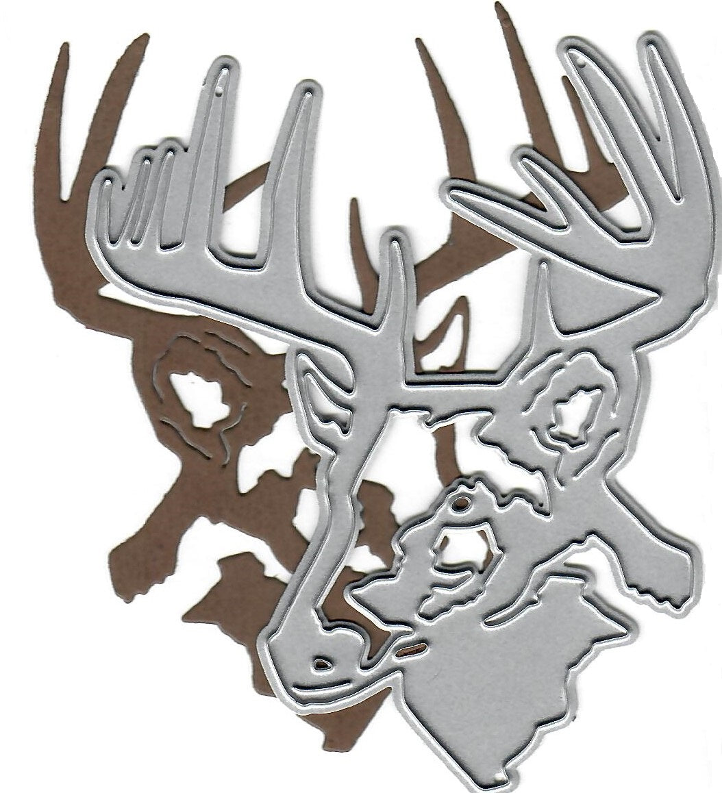 Buck Deer Head